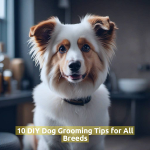 10 DIY Dog Grooming Tips for All Breeds - Pet Health Advisor