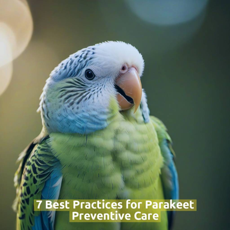 7 Best Practices for Parakeet Preventive Care - Pet Health Advisor