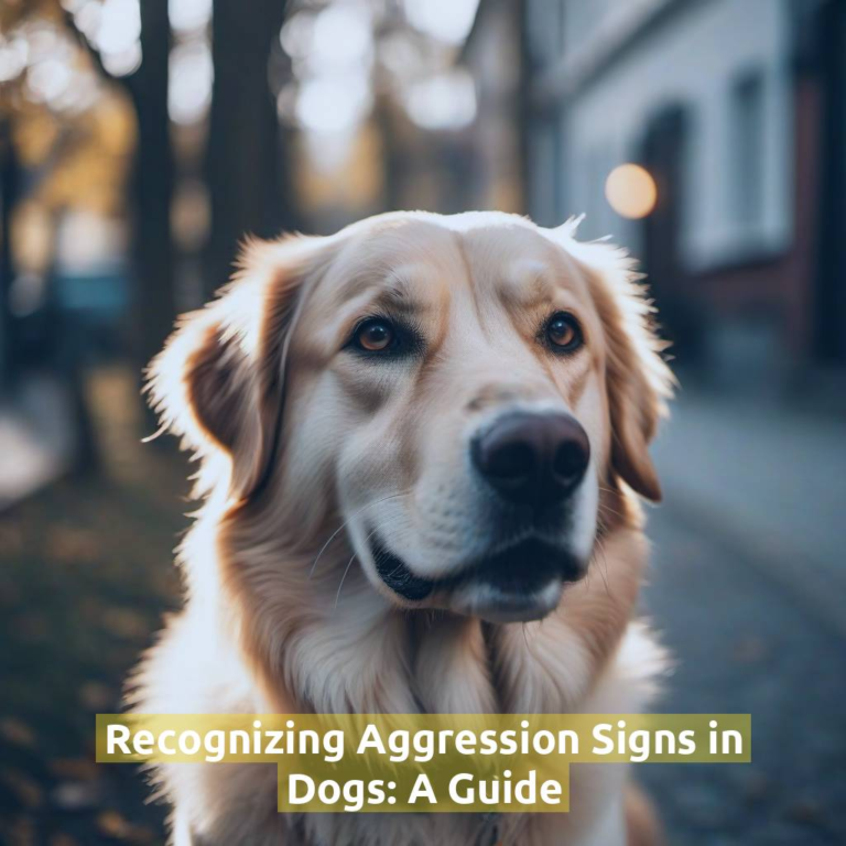 Recognizing Aggression Signs in Dogs: A Guide - Pet Health Advisor