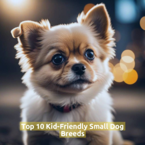 Top 10 Kid-Friendly Small Dog Breeds - Pet Health Advisor