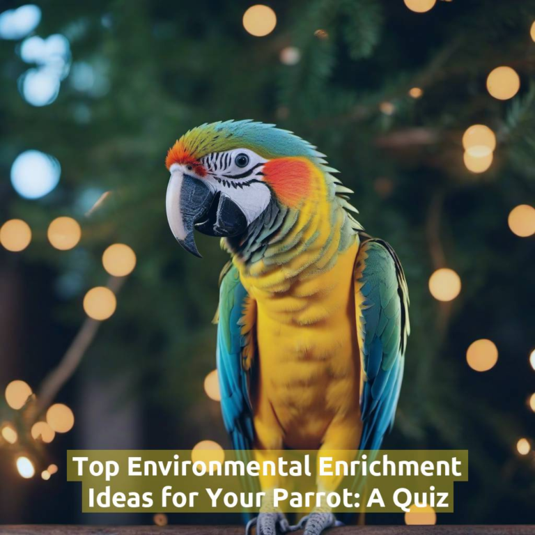 Top Environmental Enrichment Ideas for Your Parrot: A Quiz - Pet Health ...