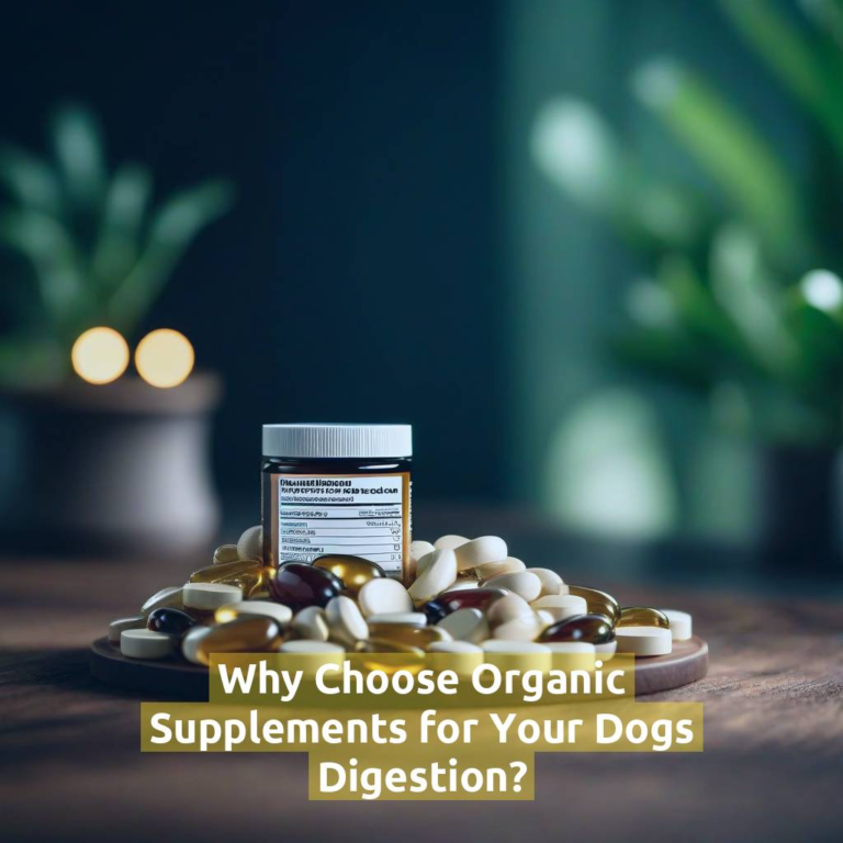Why Choose Organic Supplements for Your Dogs Digestion? - Pet Health ...