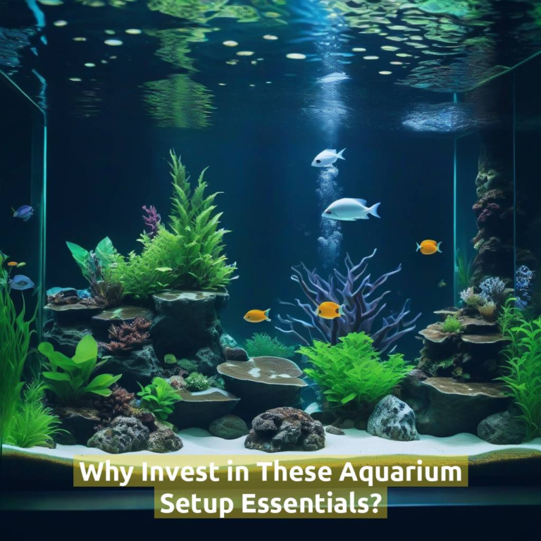 Why Invest in These Aquarium Setup Essentials? - Pet Health Advisor